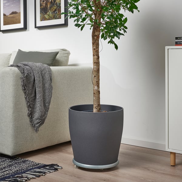 PERSILLADE Plant Pot, Dark Grey | IKEA Malta – Maltashopper.com